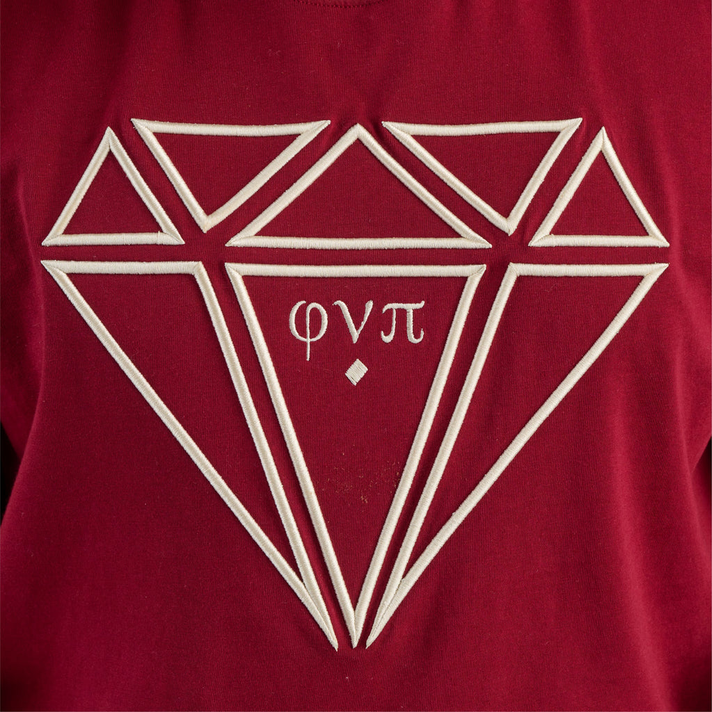 Kappa Alpha Psi Diamond Phi Nu Pi Ringer Tee – Nupemall